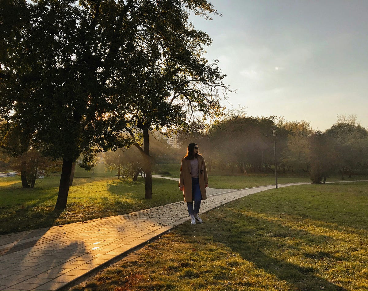 10 Things I Learned About Life from My Daily Morning Walks" (Reflective ...