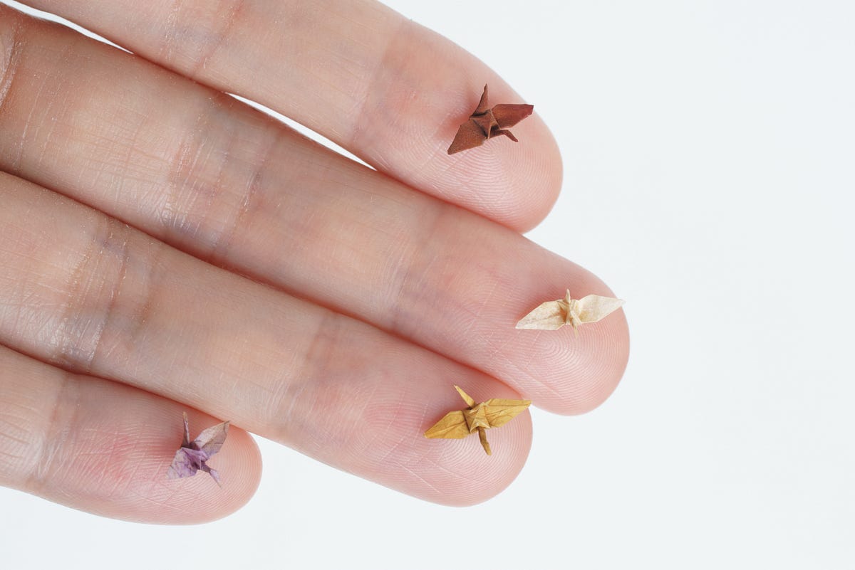 What is the Meaning of Different Shapes of Fingertips? | by Janet Li ...