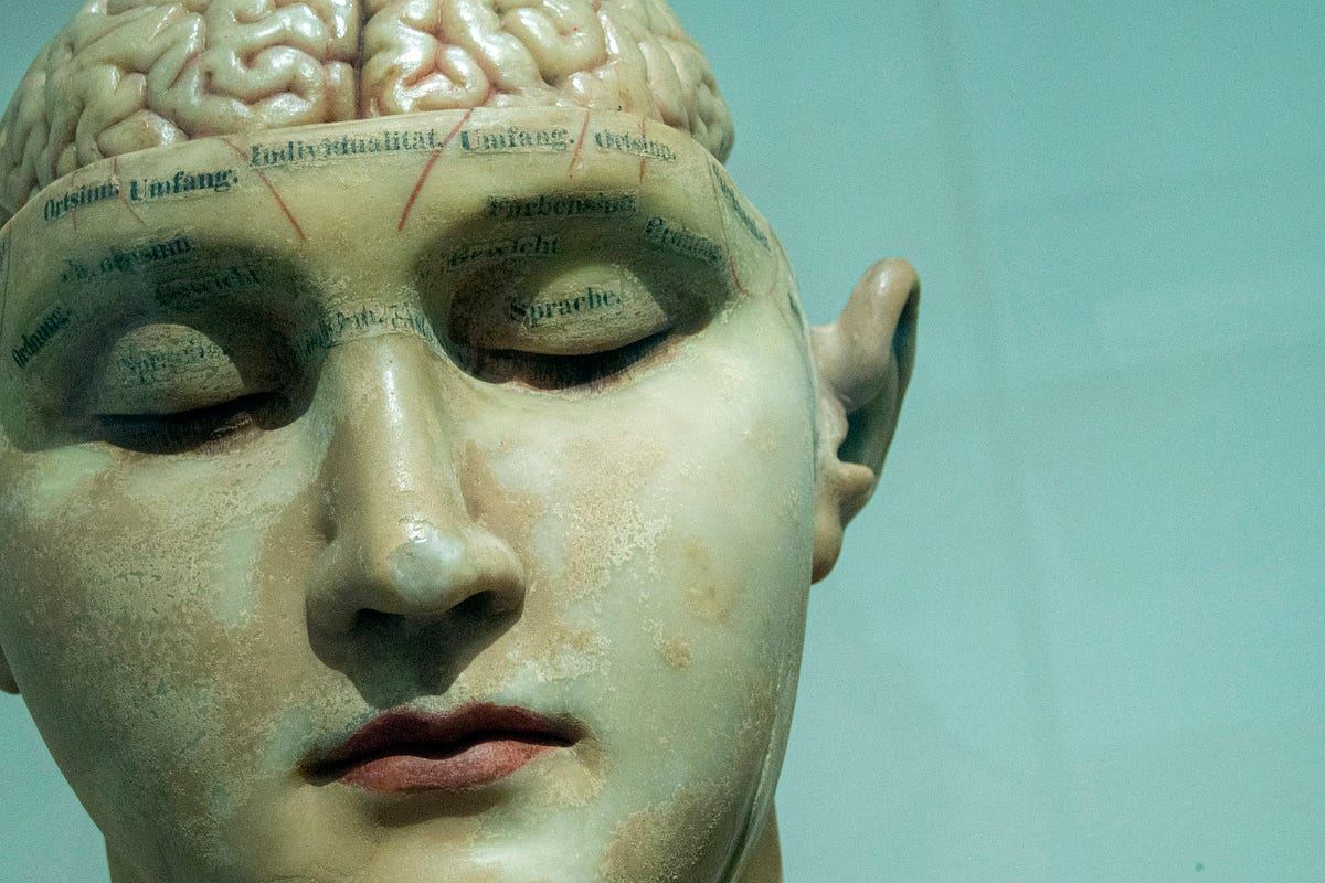 The Psychology Behind Serial Killers: Nature vs. Nurture | by Matthew ...