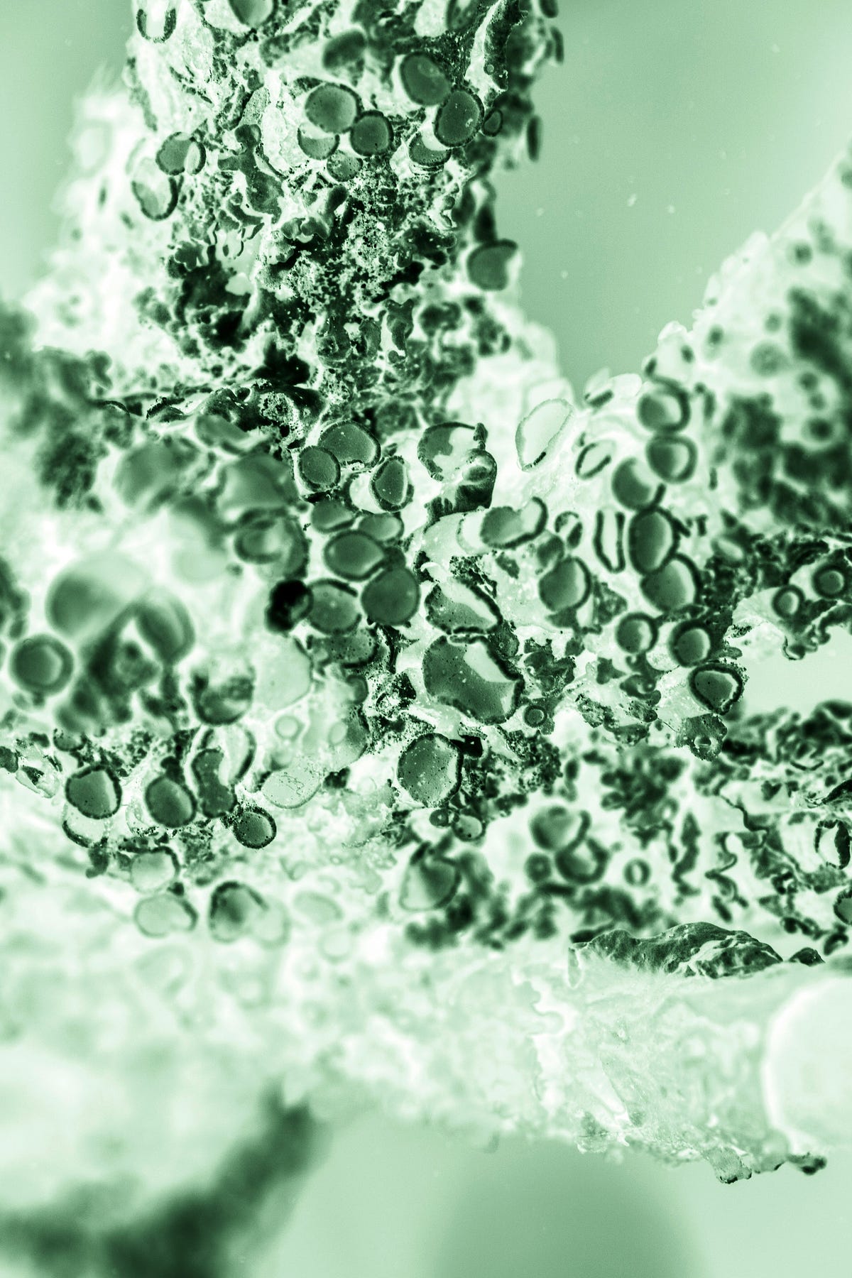 Protein Folding: Understanding Nature’s Origami | by WaveRider | Medium