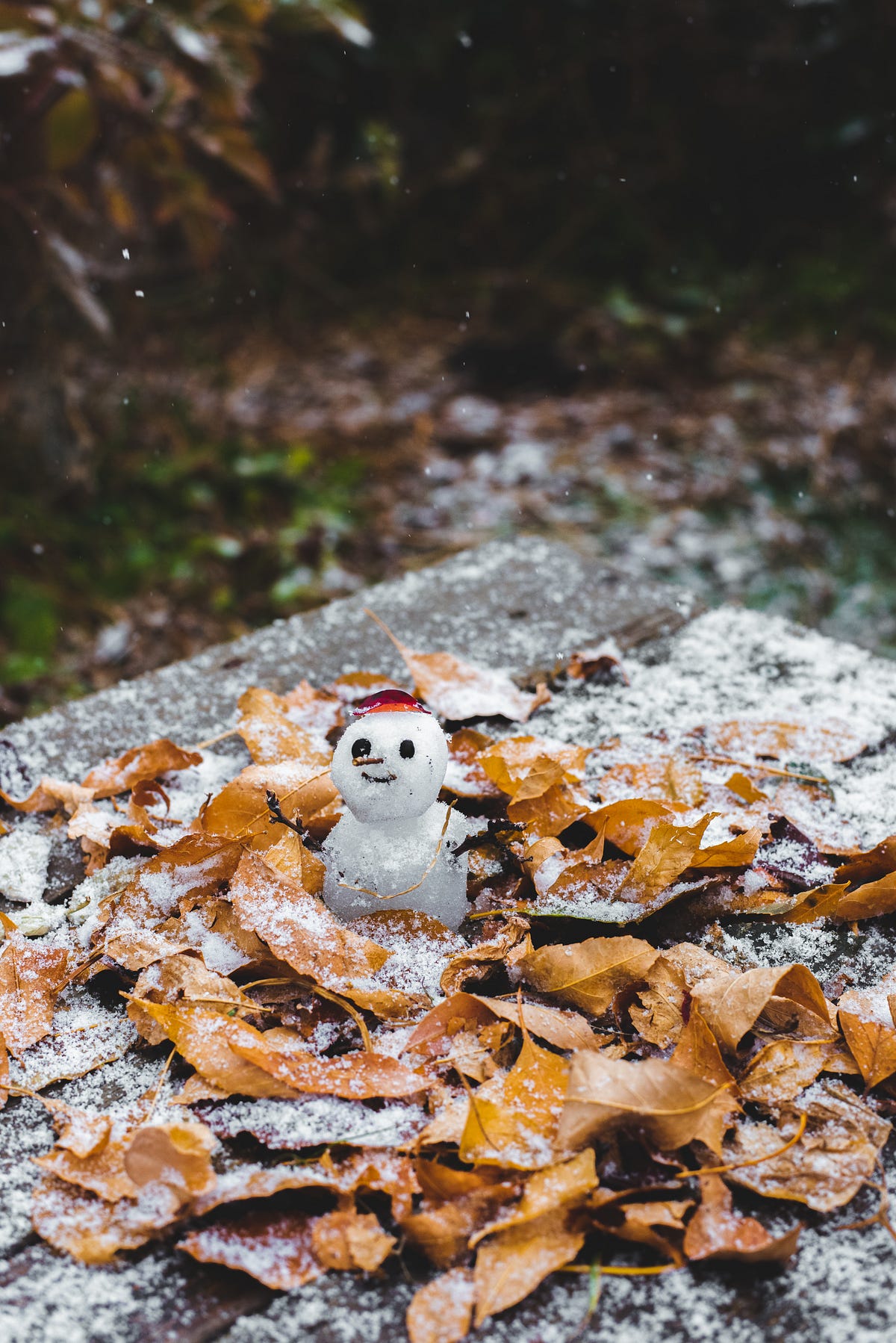 How fast snow falls?. On average, snowflakes fall at about 1… | by ...