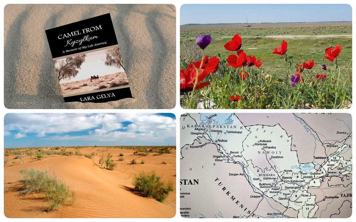 The Kyzylkum Desert. Did you know that the Kyzylkum Desert… | by Lara Gelya (laragelya.com) | Medium