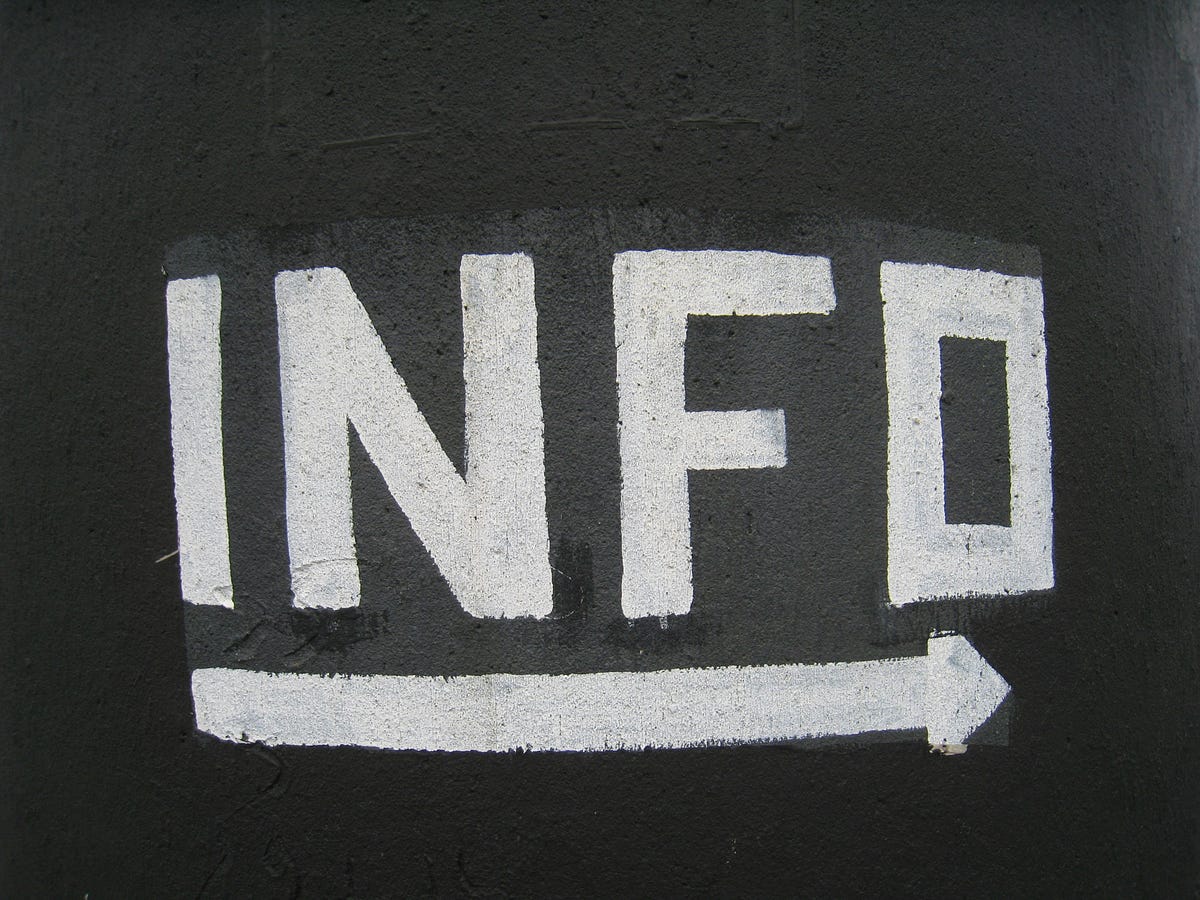 Balancing Morality and Duty: The Role of a Government Informant in Our ...