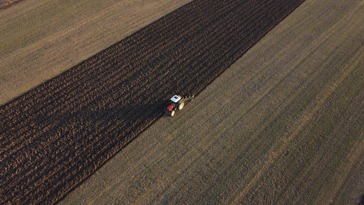 Office of Composition. An exploration of agriculture and art | by Lisa ...