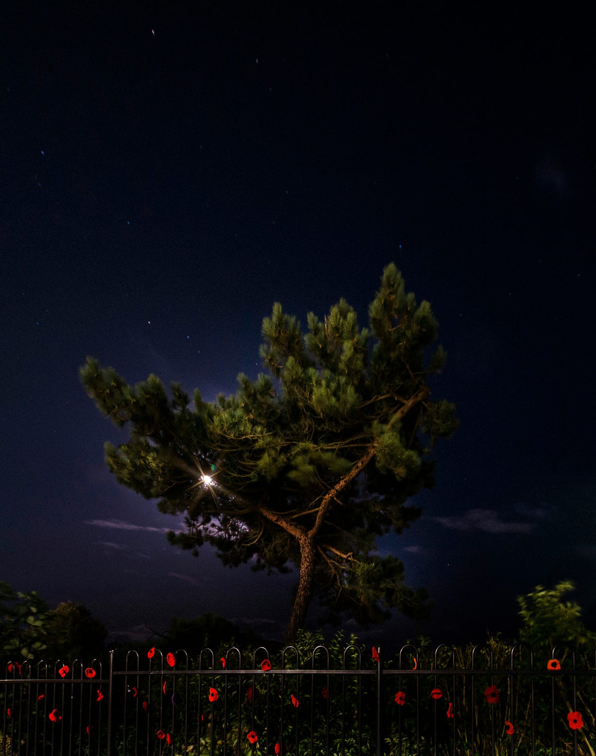 Nighttime Encounters With The Unfolding Soul | by Zola Mars | Jul, 2024 ...