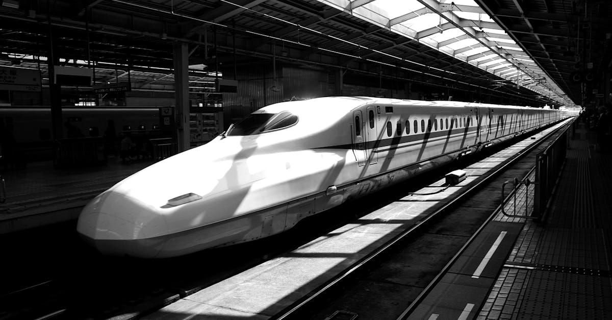 From curiosity to code: how I preprocessed a real-world classification dataset from scratch ...