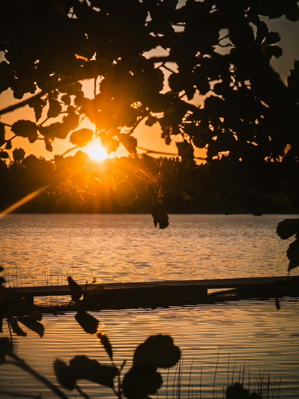 QUIET. — free verse | by Dr. Shamaima Irfan | Be Open | Medium