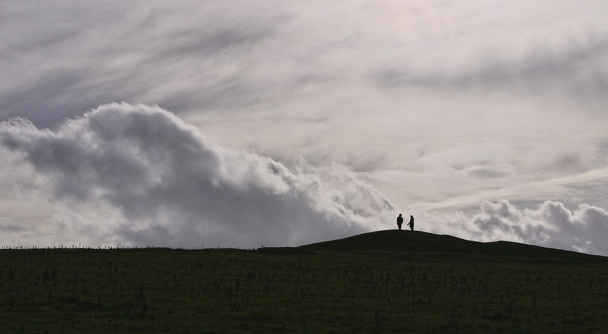 Alive. We walked today. | by Erica Donaldson-Ellison | Publishing Well ...