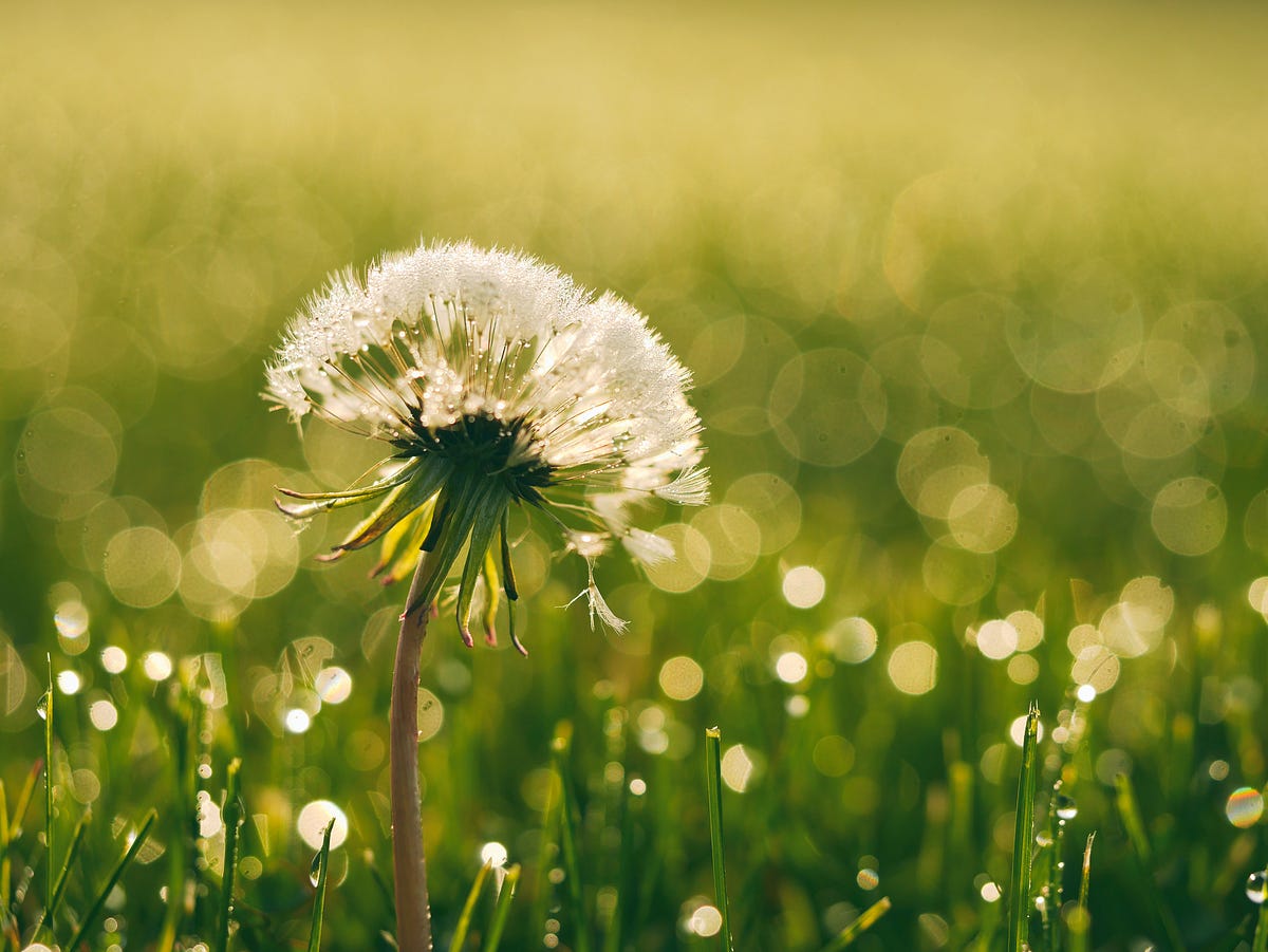 Did You Know That Your Height Varies Over the Course of a Day? | by Kacy Preen | Age of ...
