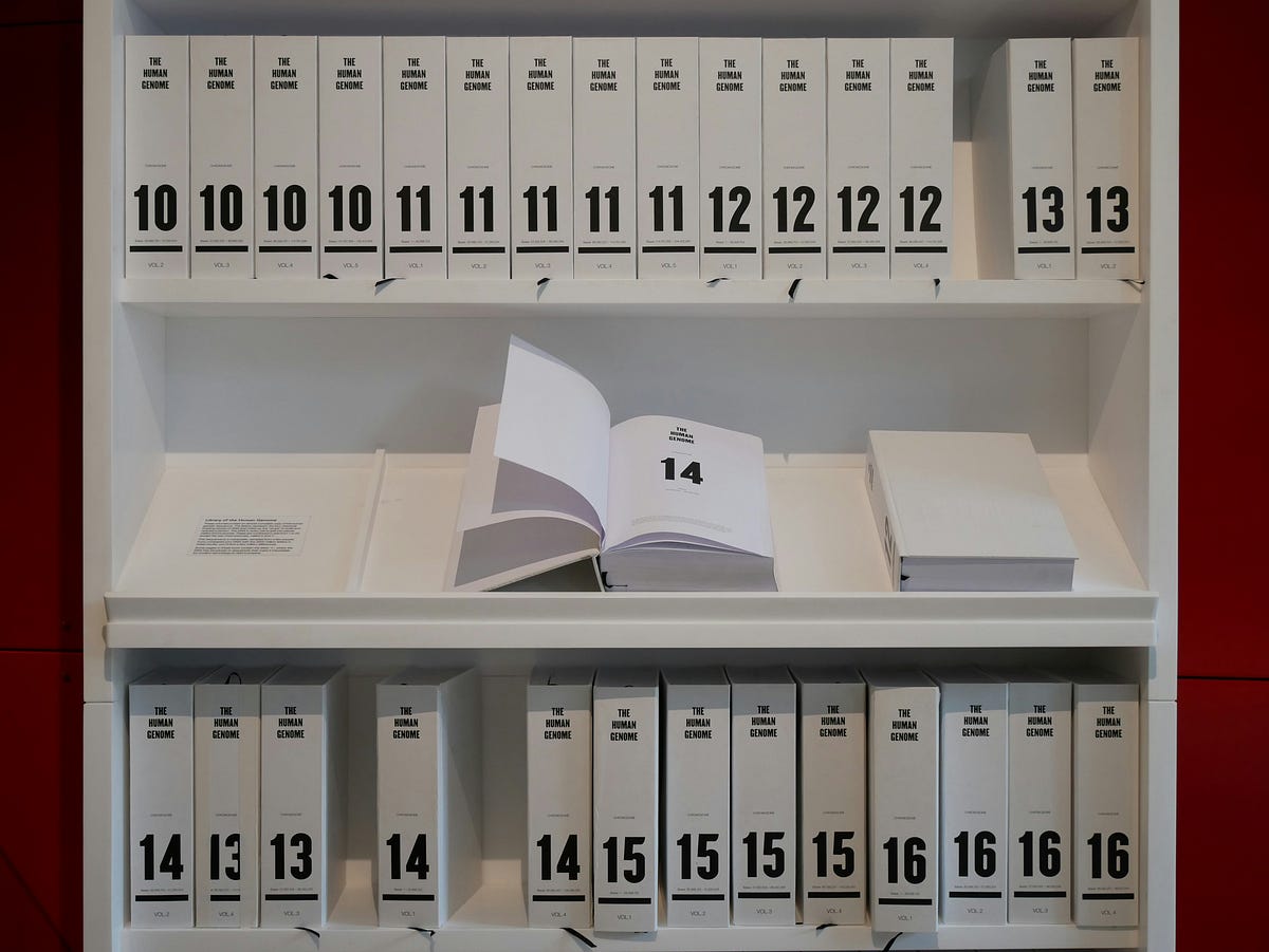 Guide to Bioinformatics File Formats | by Eric Gathirwa | Jenomu ...