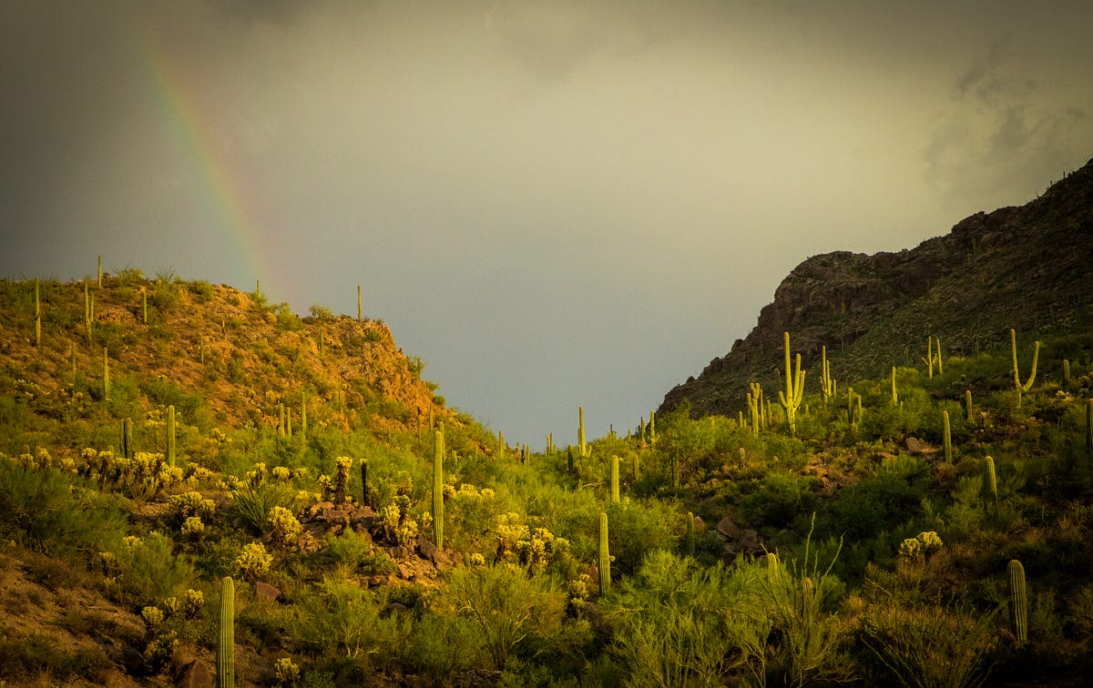 Autumn sneaks in in the desert. Autumn sneaks in in the desert. Not ...