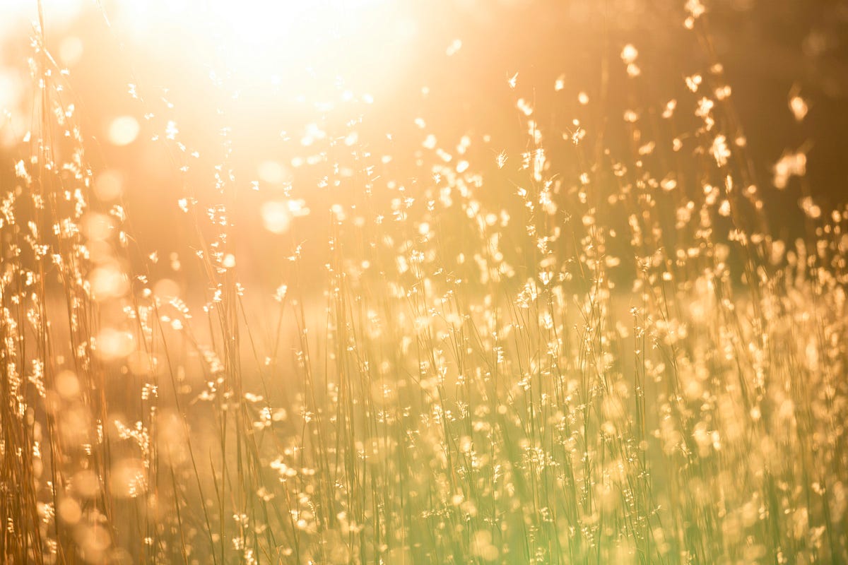 Where the Tropics Sweat and a Small Heart Beats Beside Mine | by ...