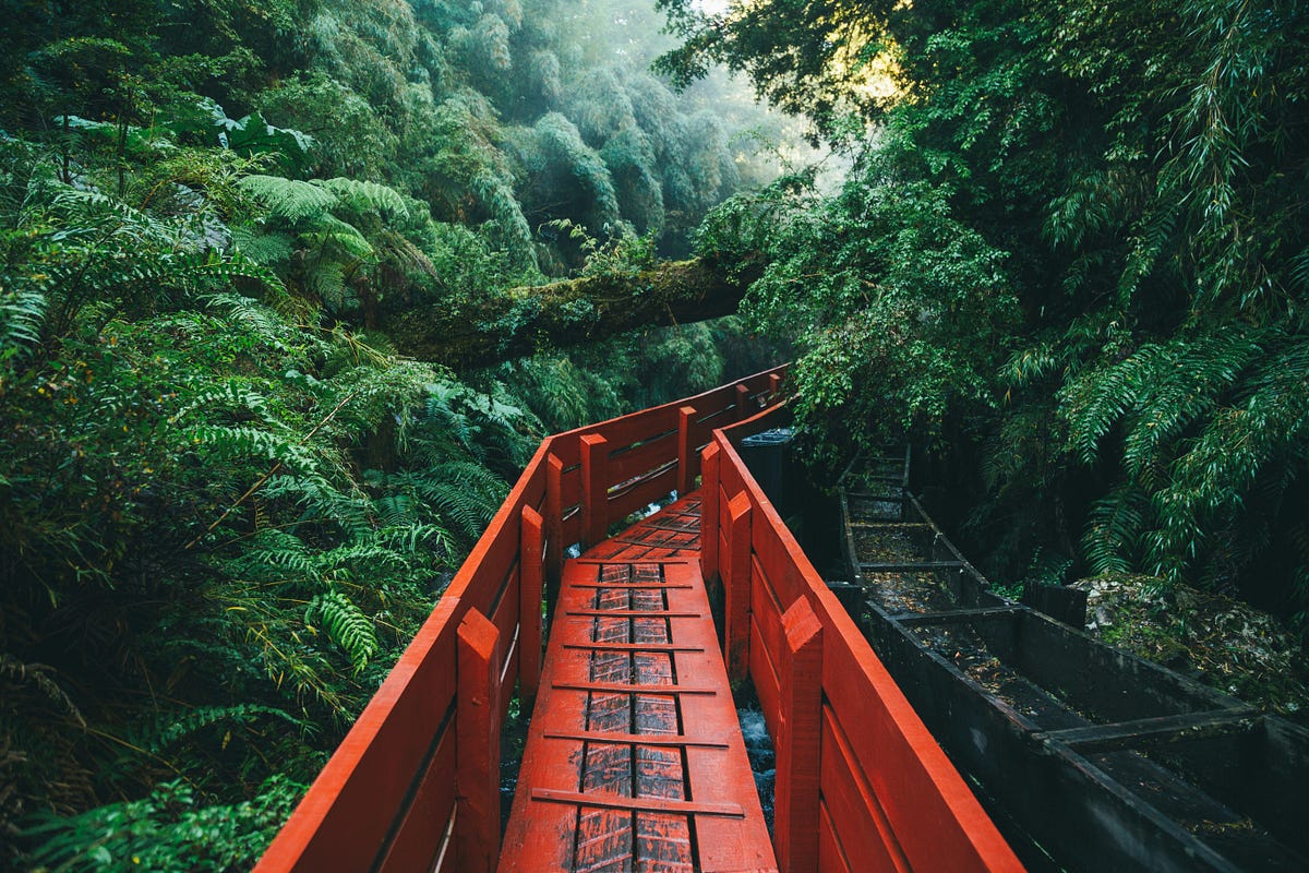 The Beauty of Not Knowing… Yet. A journey into the bliss of… | by ...