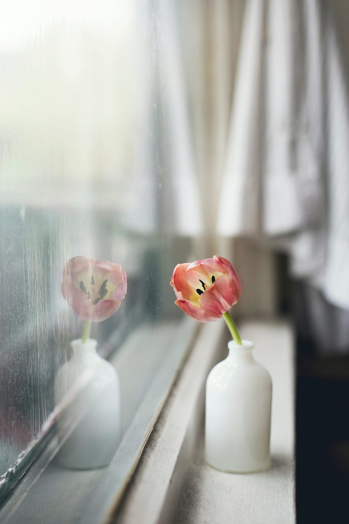 The Window. The curtain was drawn at dawn to let in… | by Kayjay Suga | Nov, 2023 | Medium