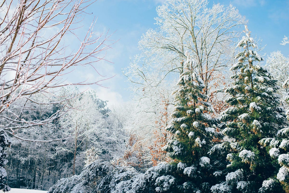 December Where You Are. December Diaries: Traditions and… | by Monika ...