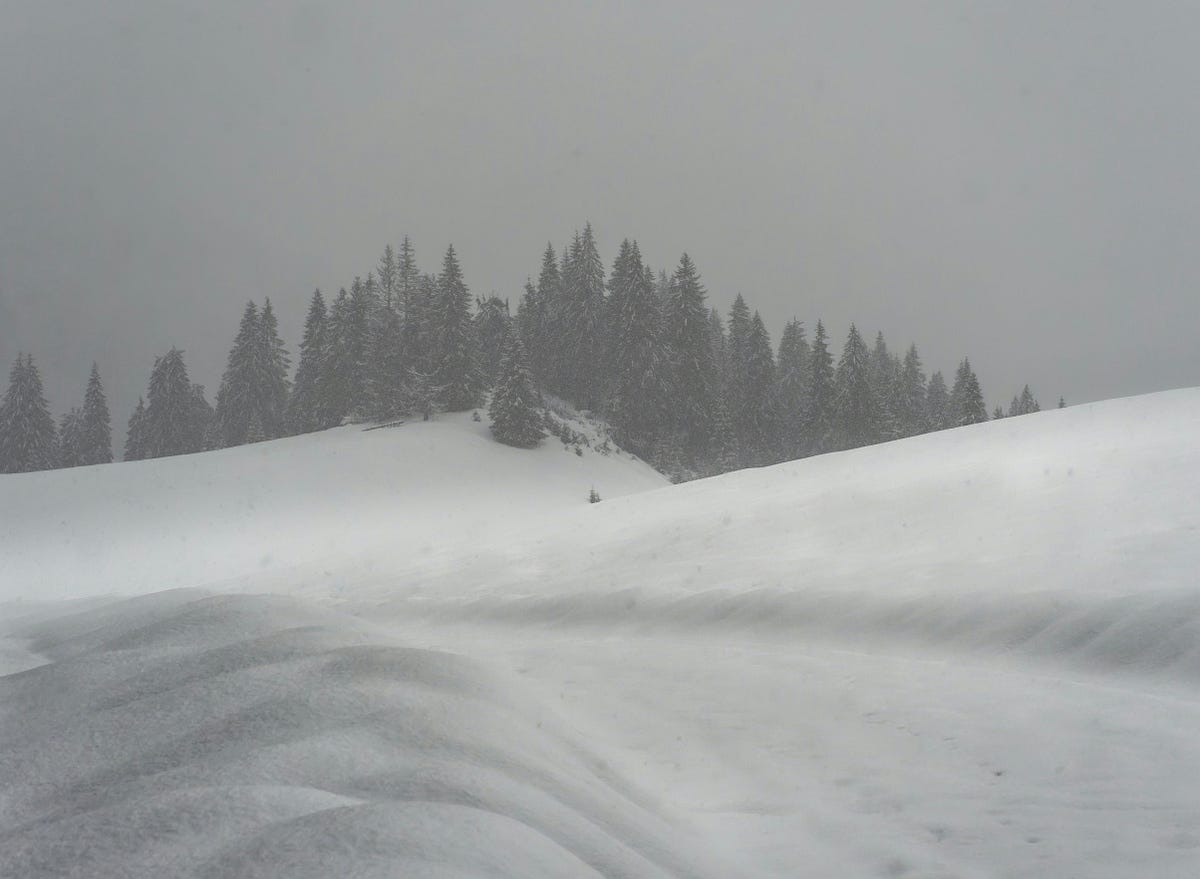 Snow Day Intelligence. The first snow shows up like a prank… | by ...