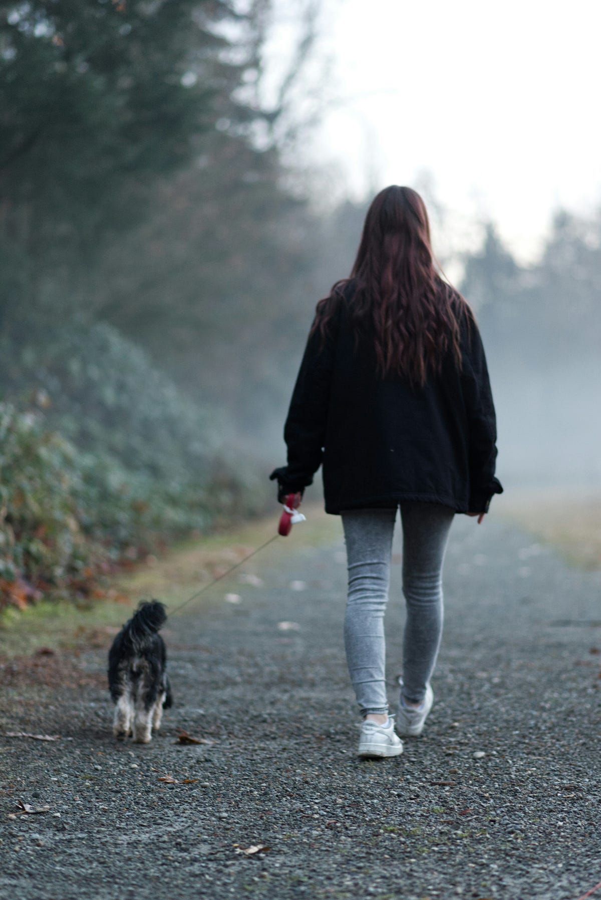 The Mental Health Benefits of Nature | by The Lit Guide | Apr, 2025 ...