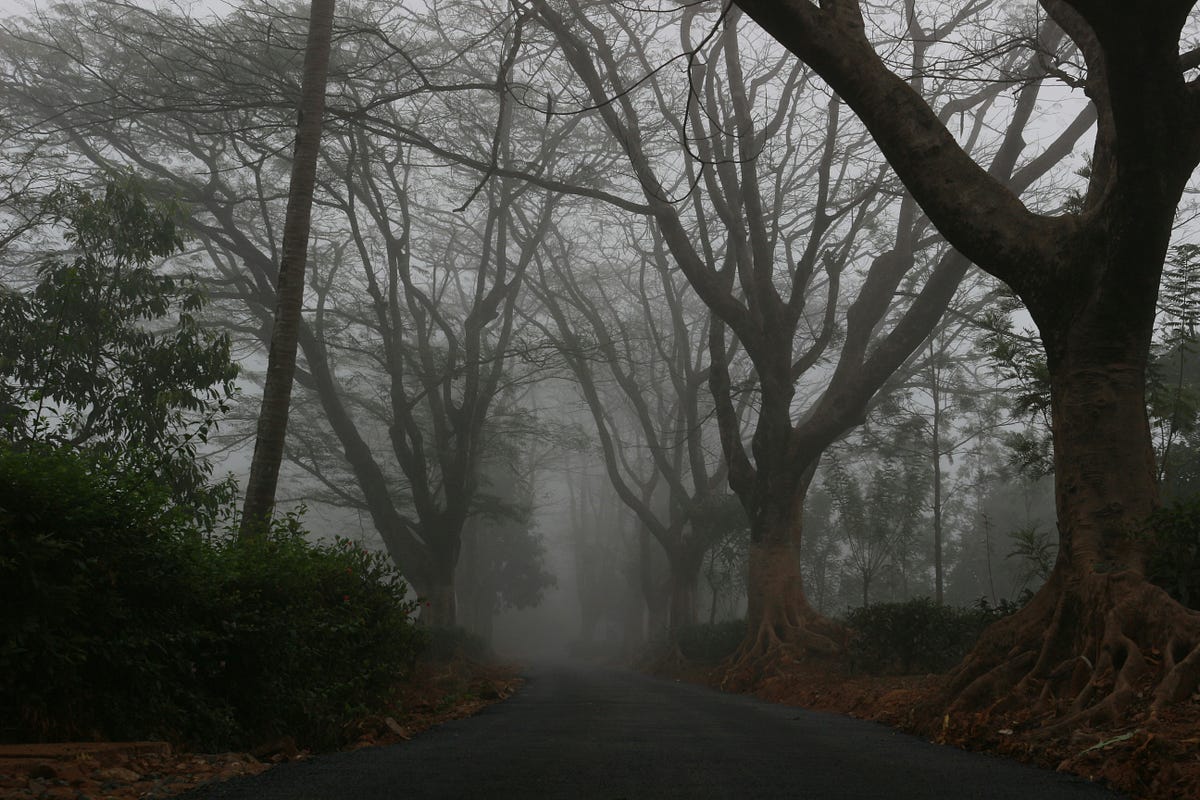 What are the benefits of tourism at Wayanad? | by Raindrops Resorts ...