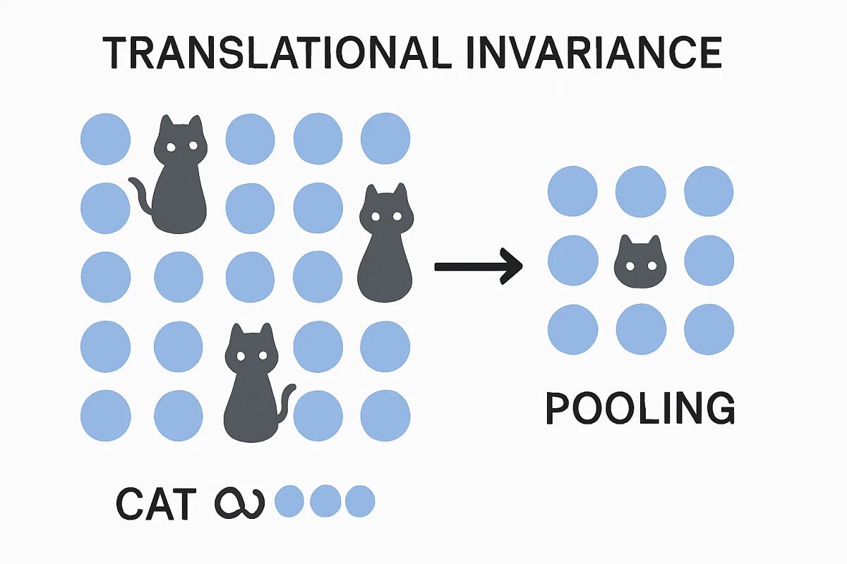 CNN Part 3: Why Padding, Striding, and Pooling Are Essential in CNN ...