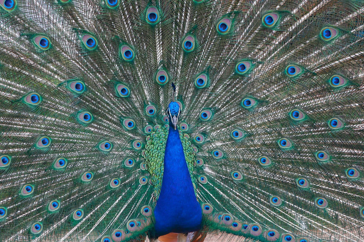 How to Read Incident Data and Automation Data in Microsoft Sentinel ...