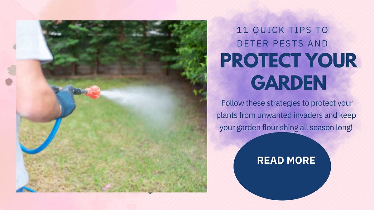 11 Quick Tips to Deter Pests and Protect Your Garden | by kristan ...