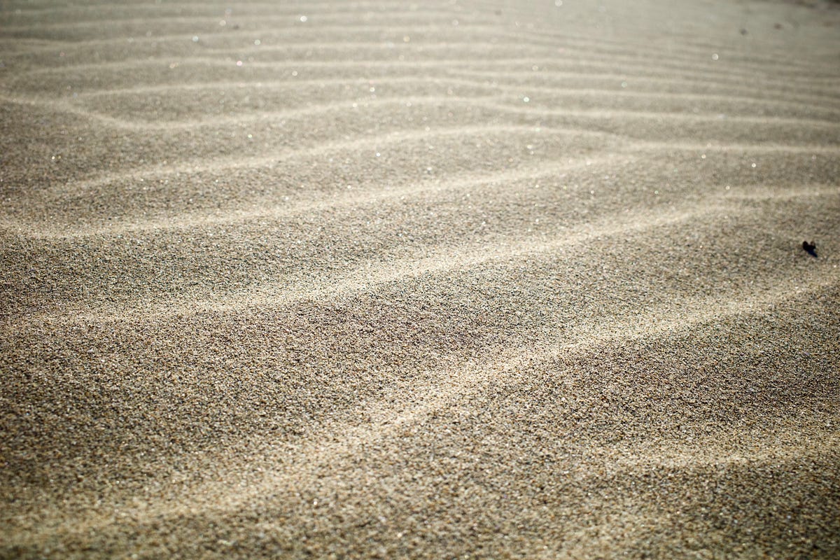 Poem: Look At Everything - Paul Shinkle - Medium