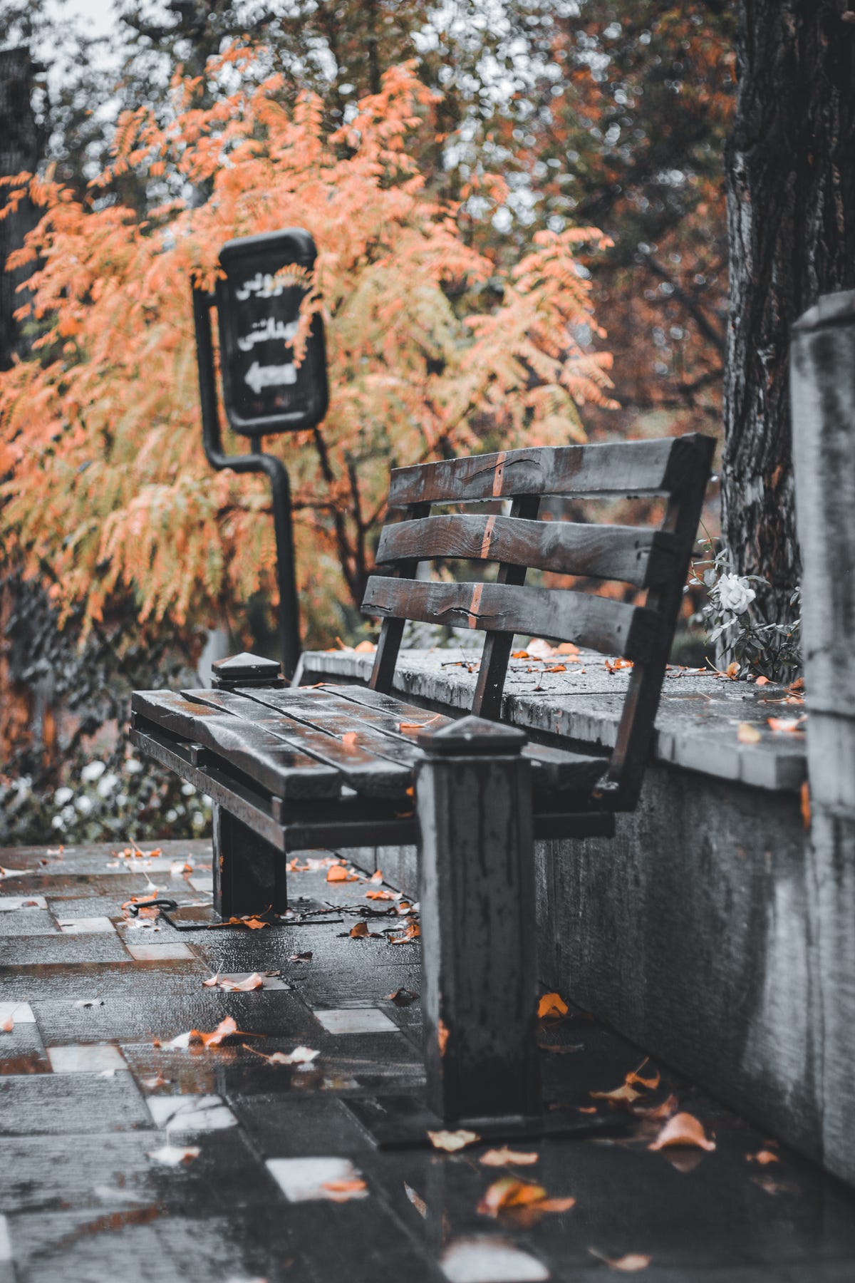 The Old Park Bench. A Poem of Memories | by WOLRAD | Medium