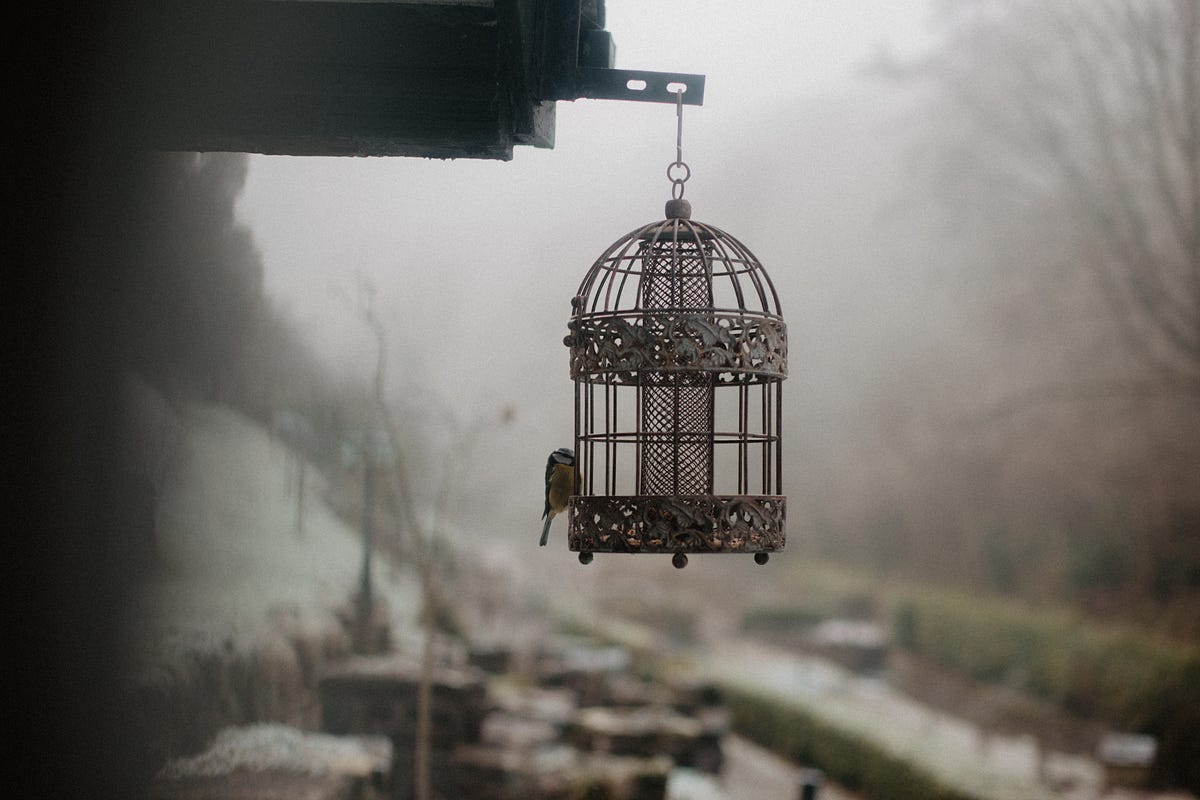 Your Words Affect People More Than You Think - Jessica Rabel - Medium