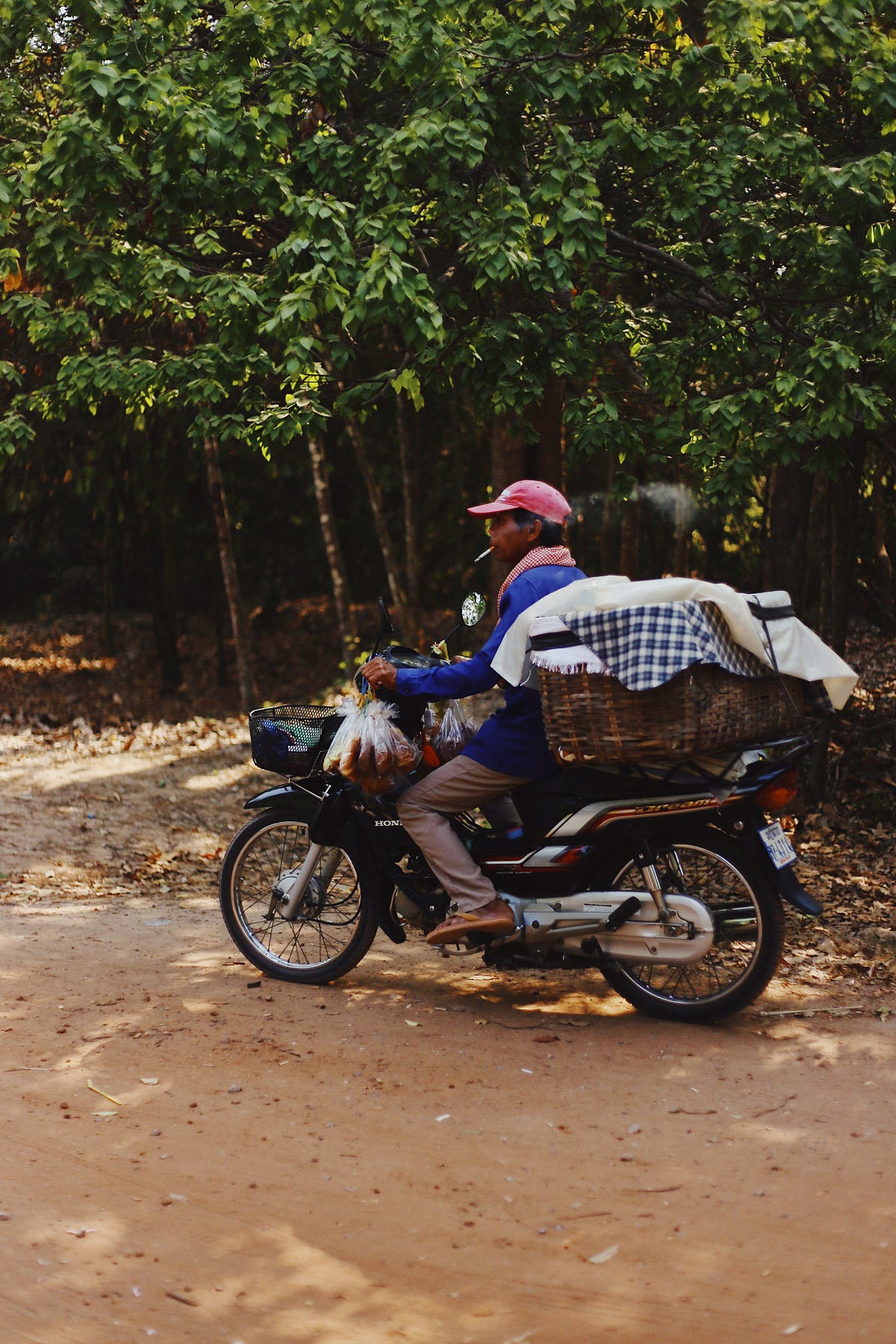 Got Surrounded By 4 Stray Dogs In Siem Reap, Cambodia: How I Managed To Escape | by Nicholas ...