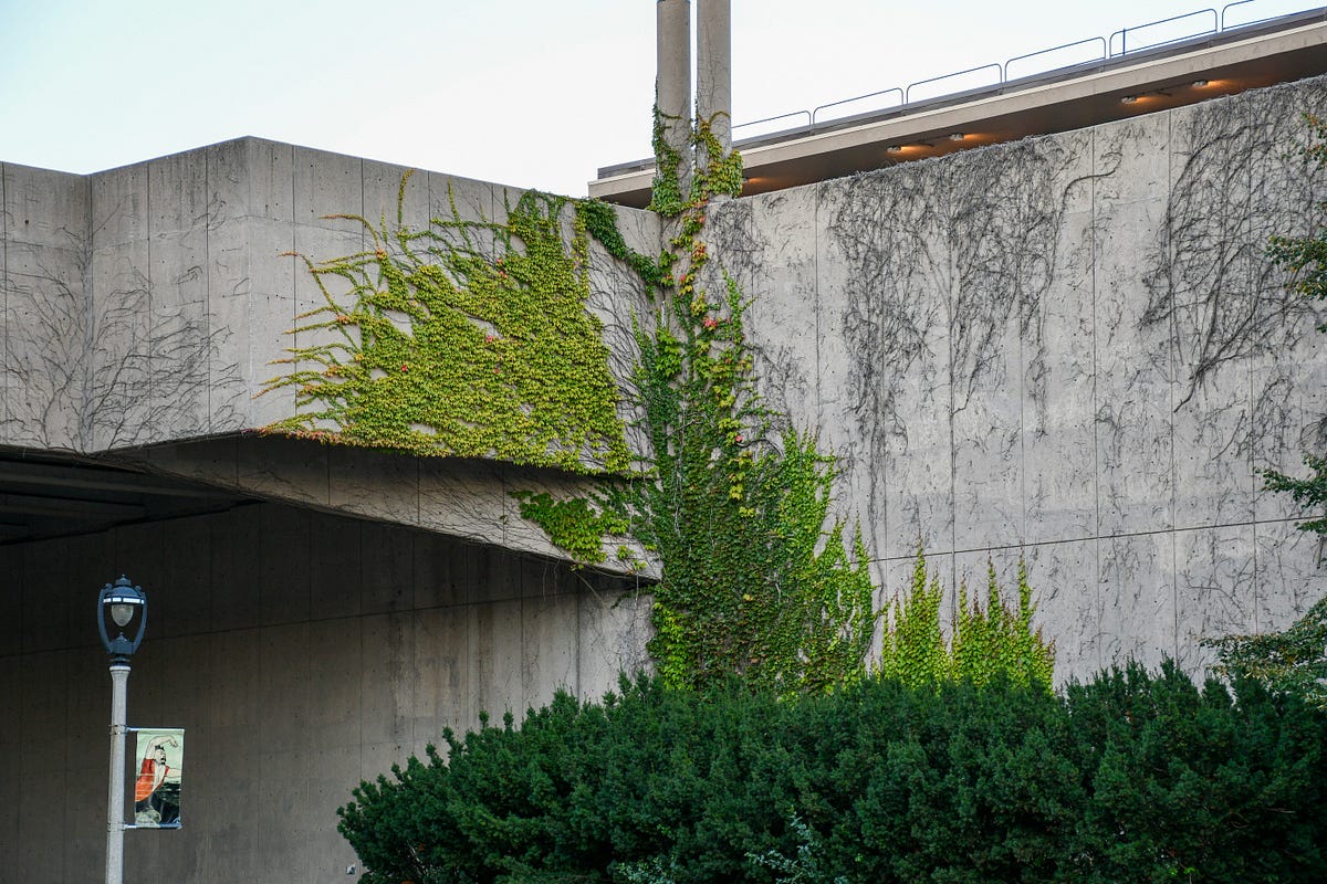 Your Brain Isn’t Lazy. It’s in Survival Mode. There is a Difference ...