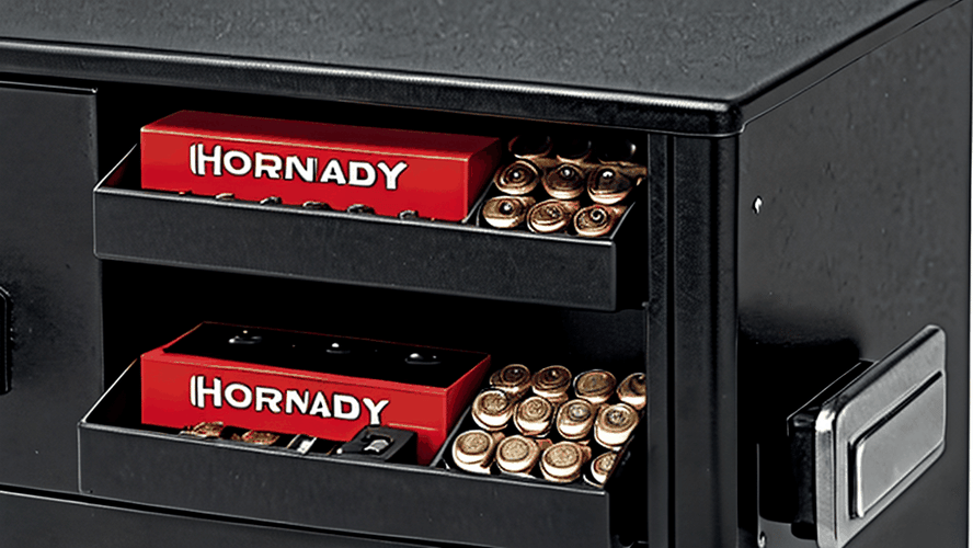 Hornady Lock Boxes | by Dr. Cheryl Peterson MD | Jul, 2024 | Medium