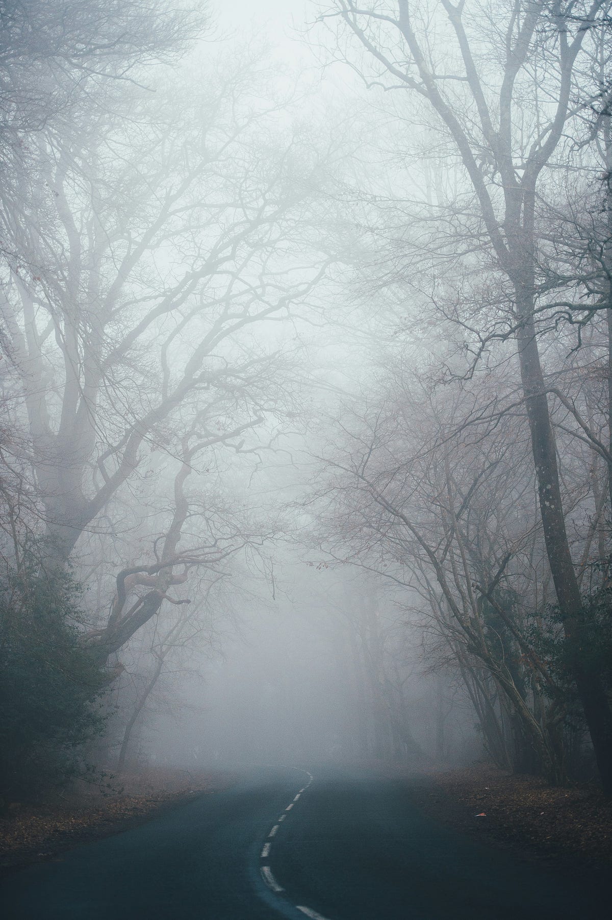 Ever Walked Through Thick Fog and Felt Like You Were Inside a Cloud ...