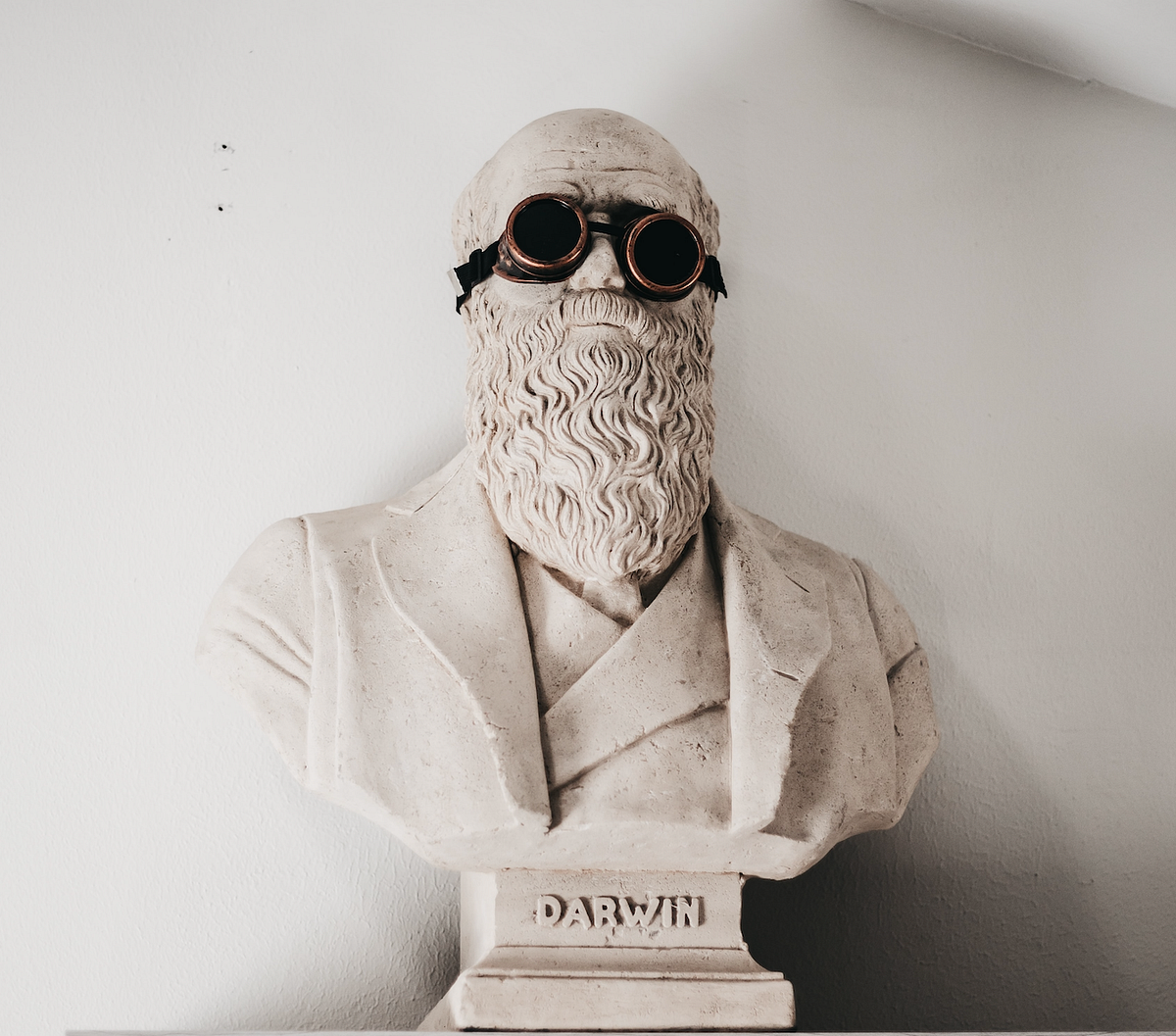 The Darwin Effect: How Evolution Can Guide Your Success | by Steven C ...
