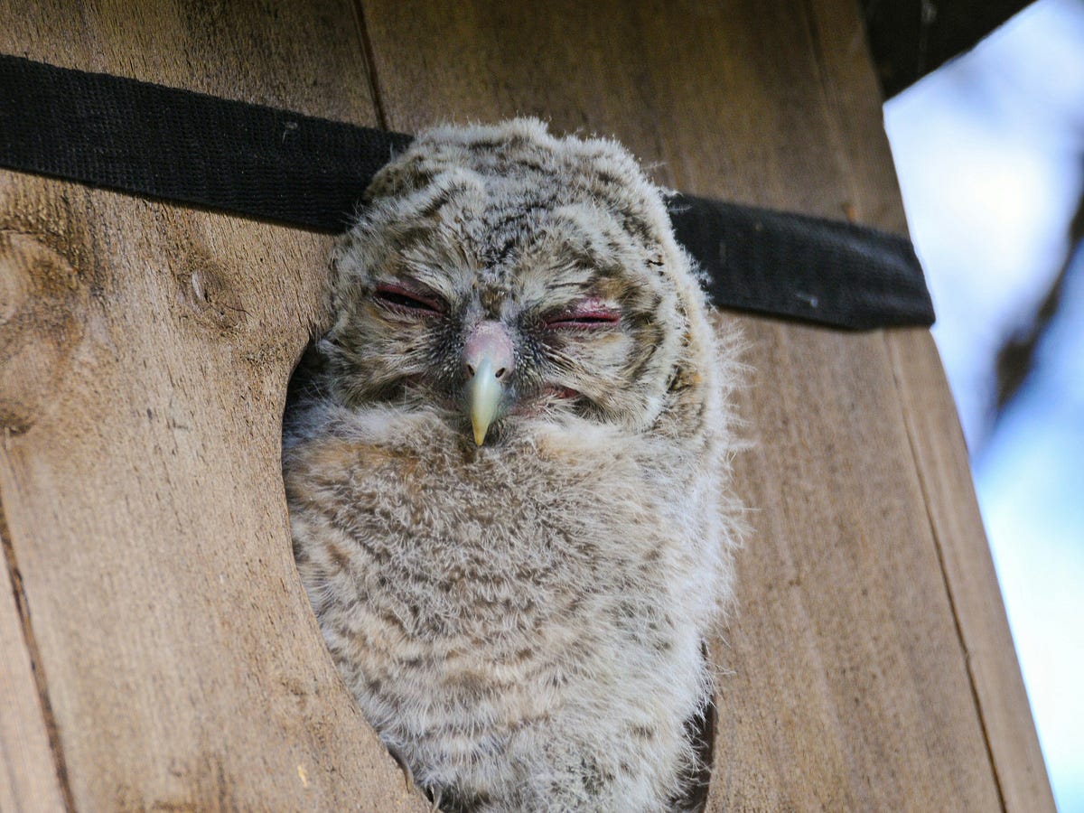 Now I Understand Grumpy Old People | by Jo An Fox-Wright Maddox | About Me Stories | Mar, 2024 ...