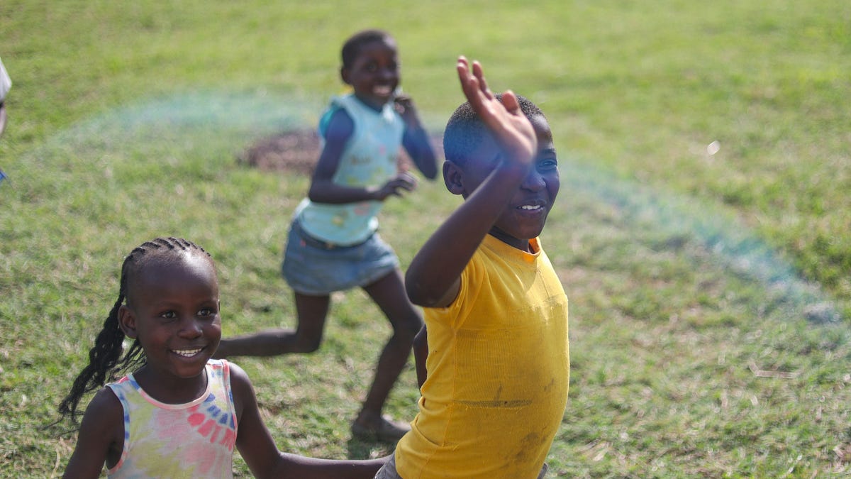 Joy Restored. God will restore your joy if you let… | by Mary Ann ...