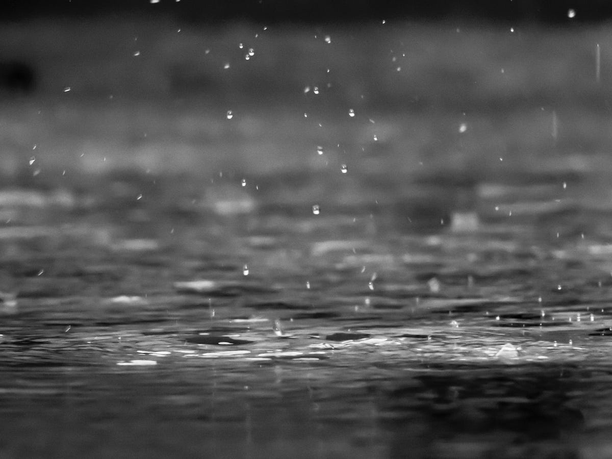 Petrichor, The Scent of Rain. A Brief Look into Nostalgia and Proustian ...