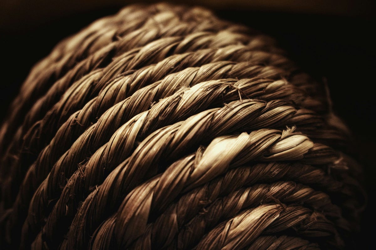 Passion Twist | by Tóbi Bítàn | Jan, 2024 | Medium