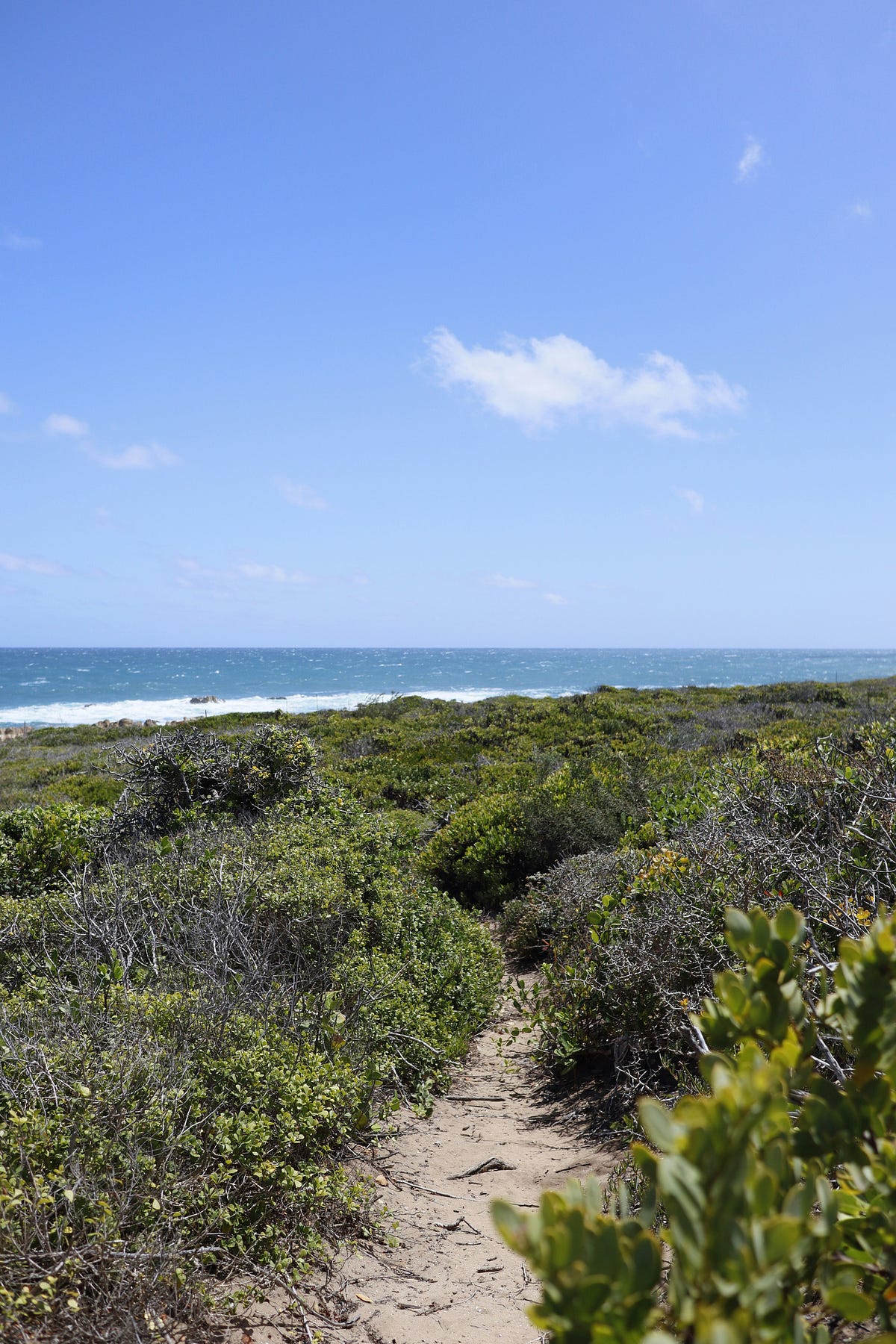 When you don’t feel like you are living up to your potential | by El Rees | Medium