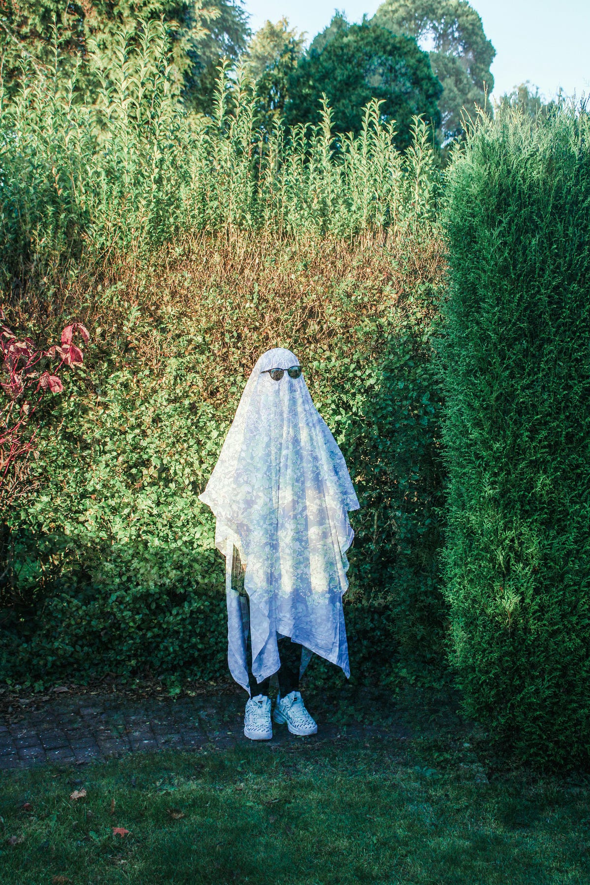 The Time I Tried to Be Mysterious and Failed Miserably | by Stories ...