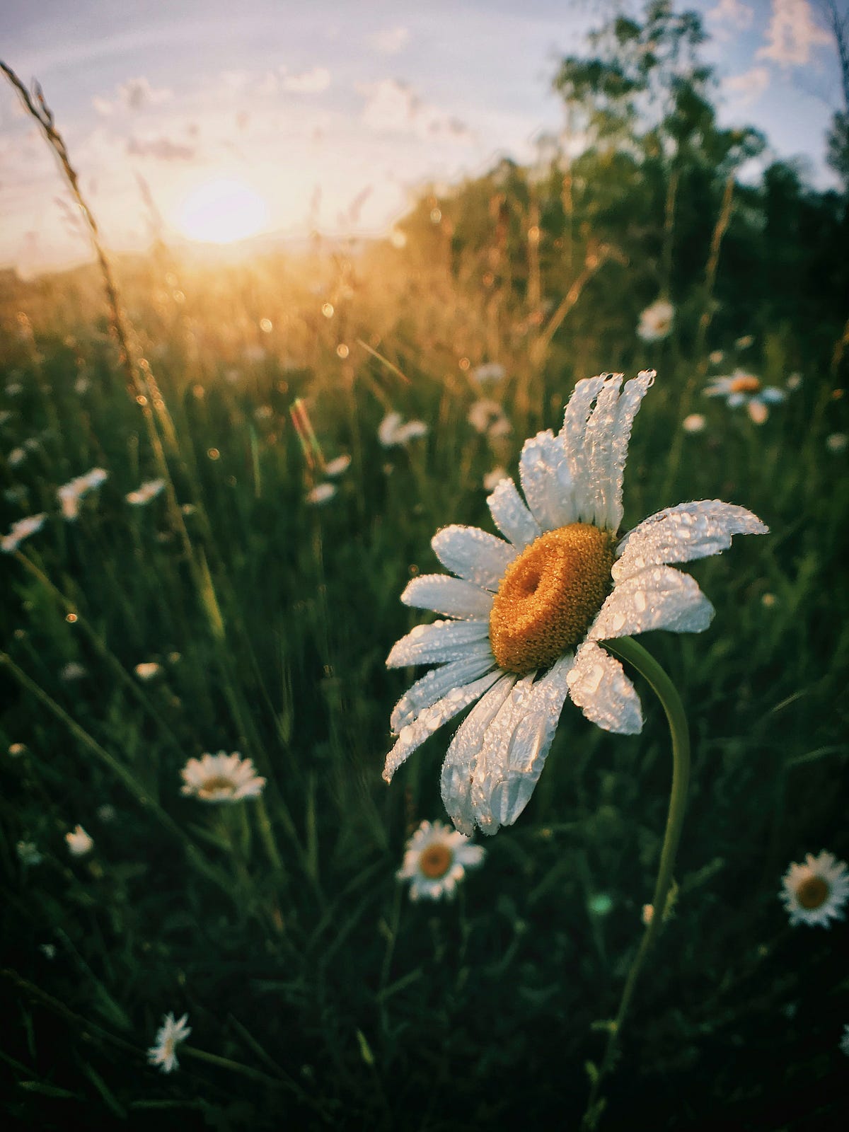 Morning Habits That Quietly Healed Me | by Haroon Ur Rasheed ...