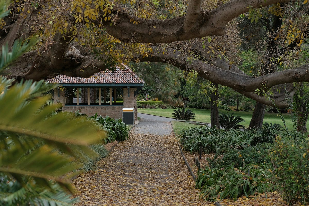 The Things She Never Really Asked For | by Atticus 么 | Readers Club | May, 2025 | Medium