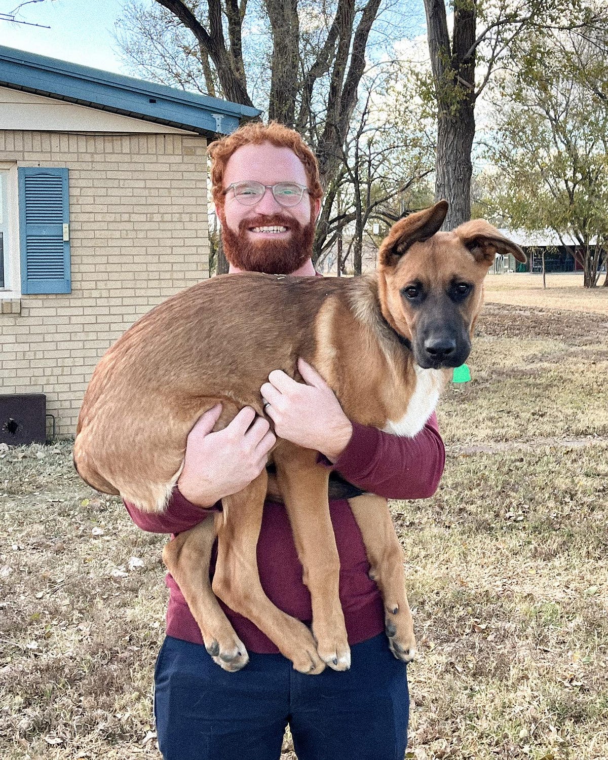 The Unwanted Pup Discovers a Forever Home on the Farm: | by Freda Savahl | ILLUMINATION | Medium
