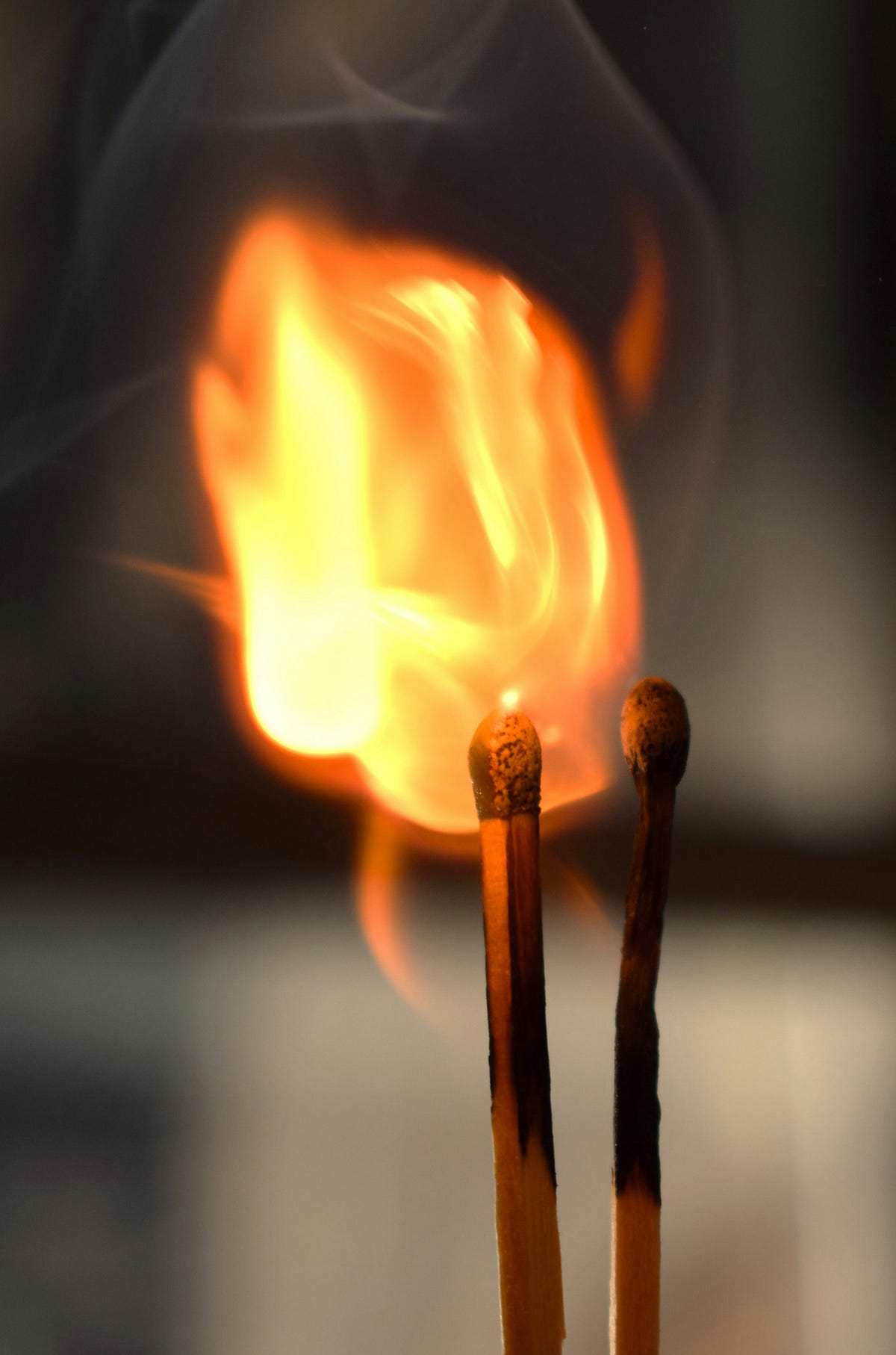 True Purpose of Twin Flame Journey | by Trisha | Medium
