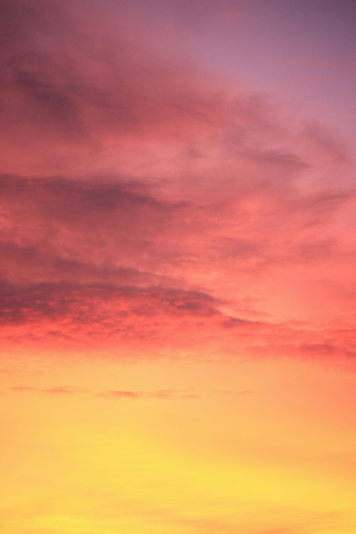 Gratitude for a New Day | by Anas Aladham | Write A Catalyst | Medium