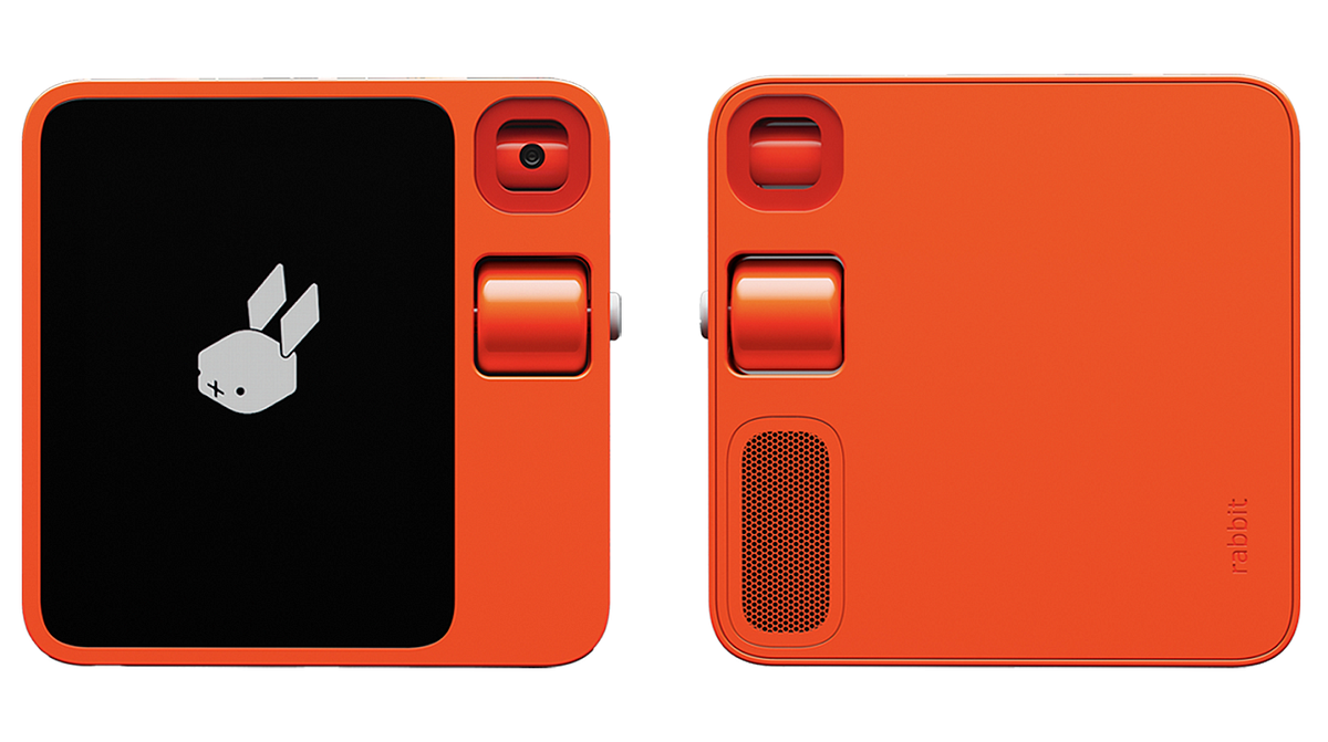 Rabbit: Building the New Human to Machine Interface | by Synergis ...