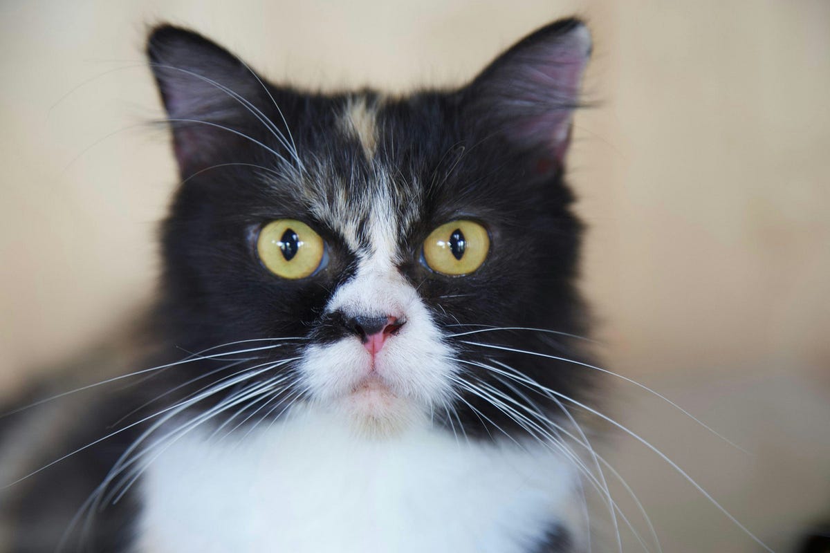 My “Pointless” Google Doc Made $2,456 While I Was Sleeping | by Gloria ...