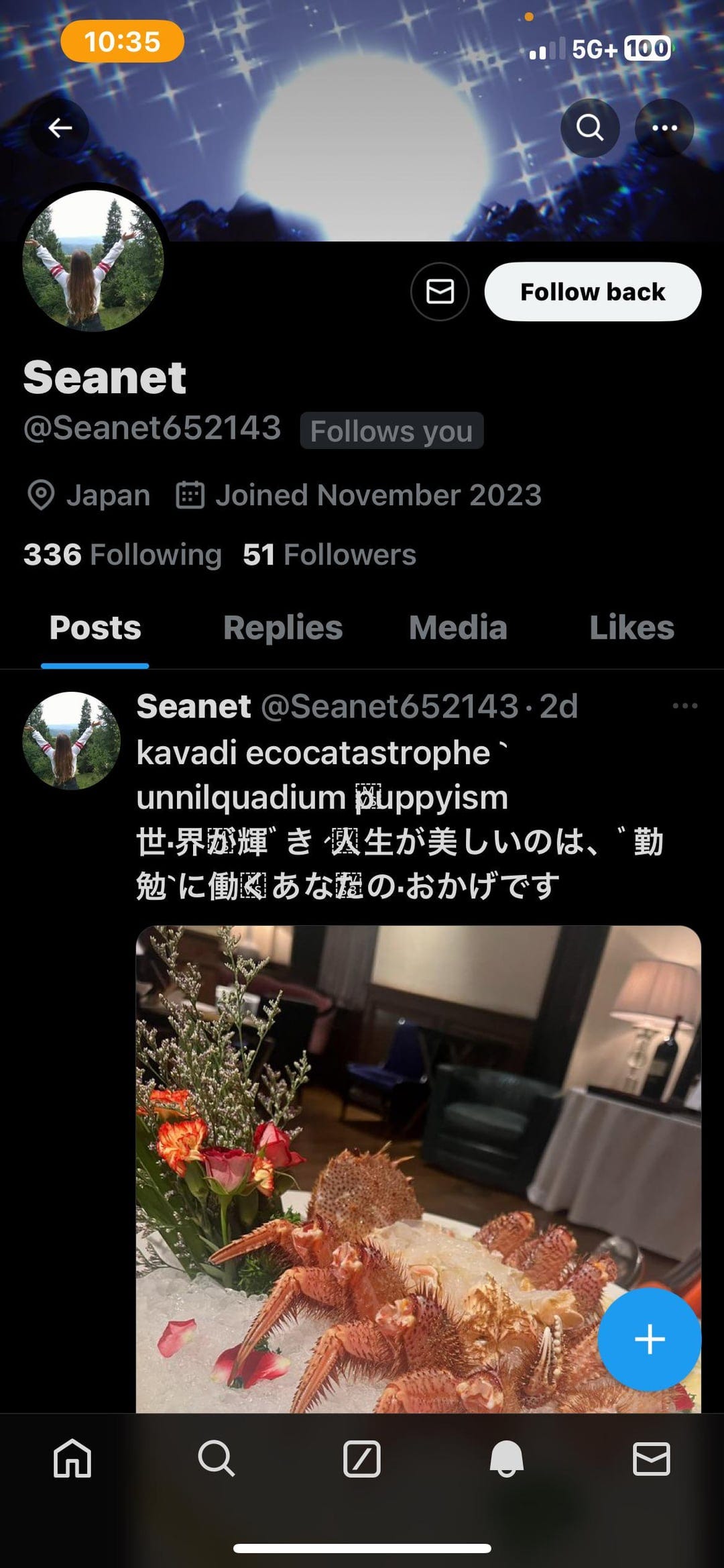 Weird Twitter Accounts: Uncovering the Internet’s Oddest Profiles | by ...