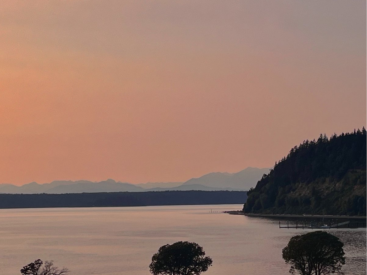 In the Evergreen. By: Shreya Manikandan | by Guac Magazine Editors | Guac Magazine | Medium