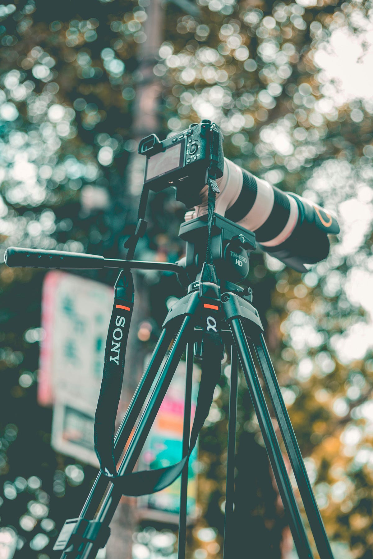 Best Tripod Top Picks for Photography, Vlogging & Travel | Medium
