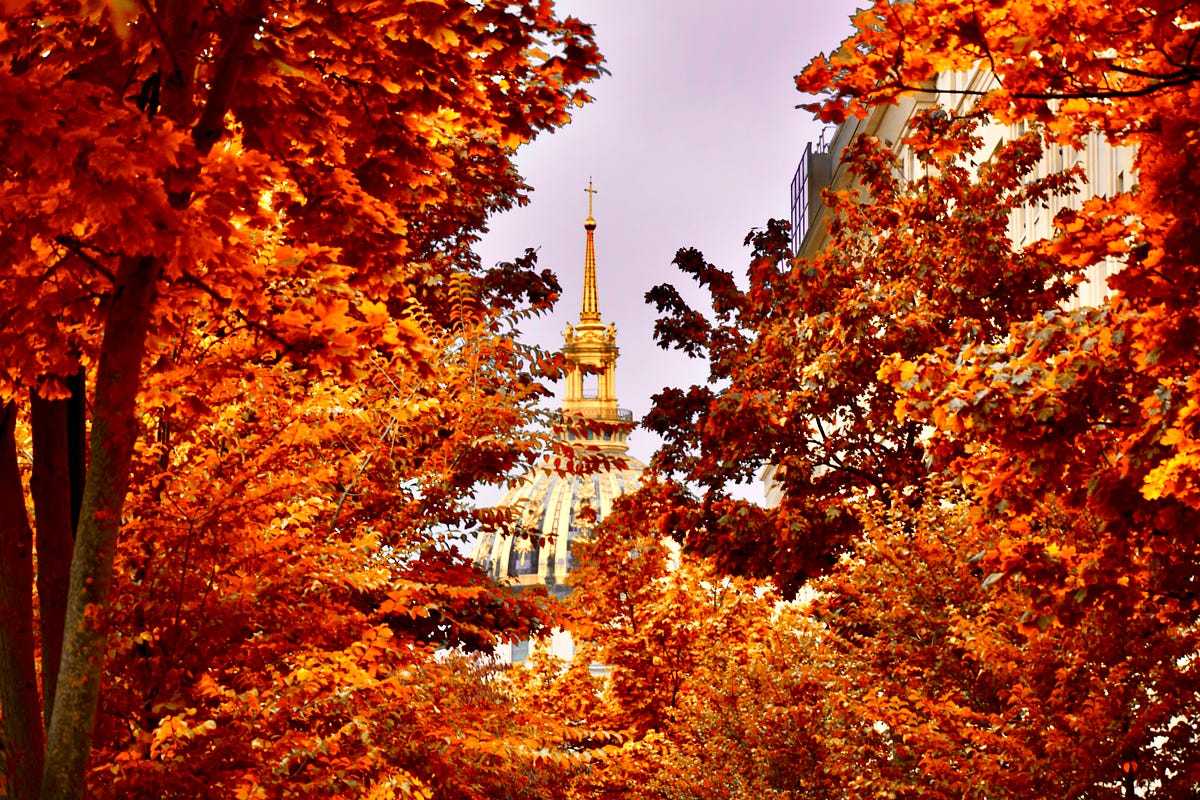 BootstrapVue — Navbar. We can create customization navbars… | by John Au-Yeung | Dev Genius